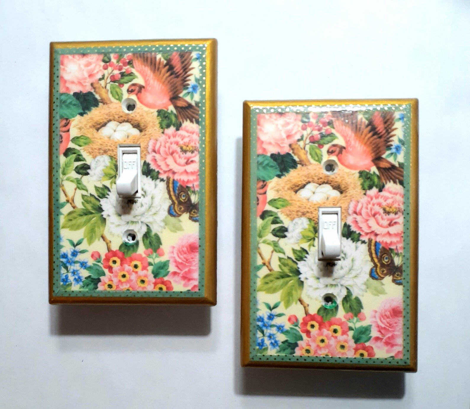 BIRD and EGG Themed Switchplates and MATCHING Screws- Birdcage Switch ...