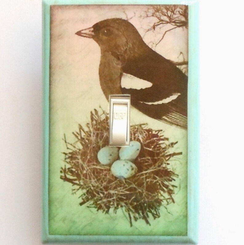 BIRD and EGG Themed Switchplates and MATCHING Screws- Birdcage Switch ...