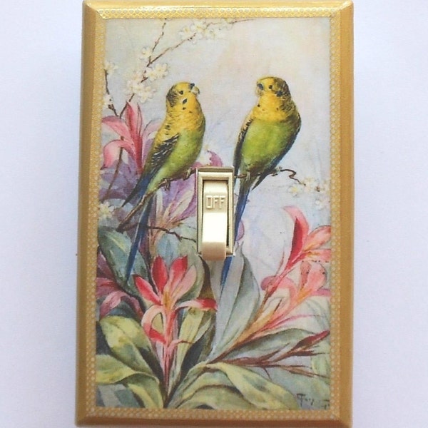 Parakeet Bird Plate - Etsy