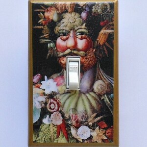 Fun Gag Switchplates & MATCHING SCREWS Men's Gag Gift Humorous Gift Gag ...