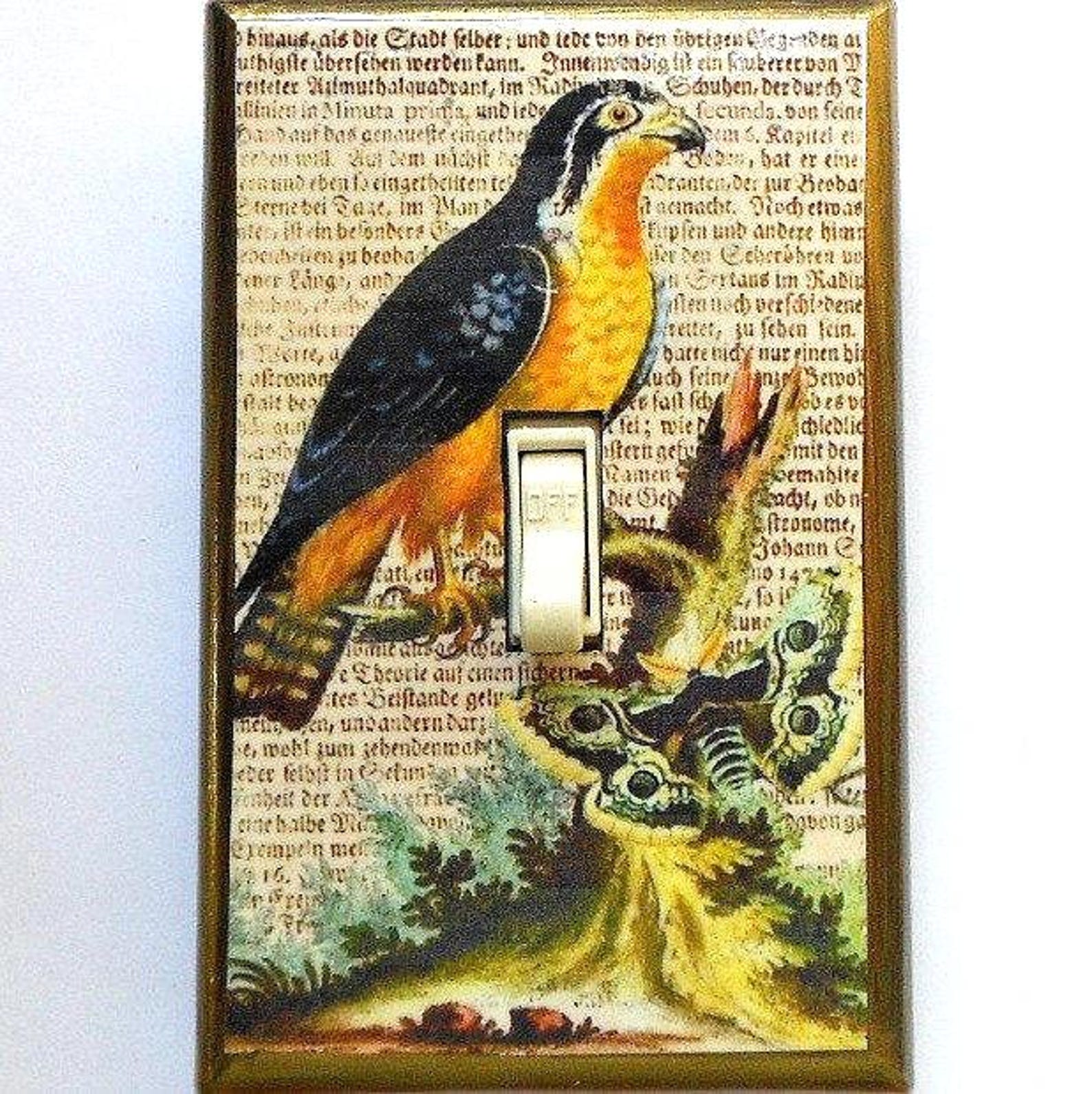 BIRD and EGG Themed Switchplates and MATCHING Screws- Birdcage Switch ...