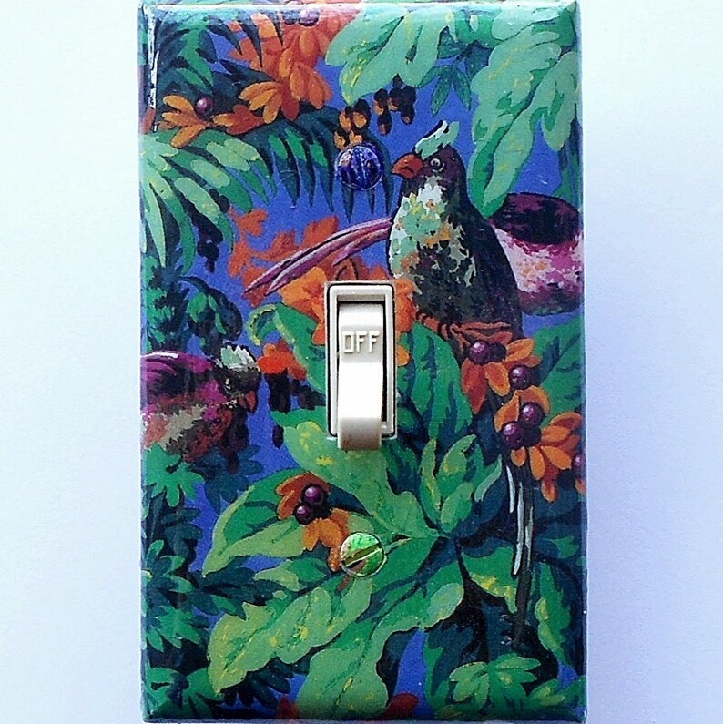 BIRD and EGG Themed Switchplates and MATCHING Screws- Birdcage Switch ...