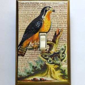 BIRD and EGG Themed Switchplates and MATCHING Screws- Birdcage Switch ...