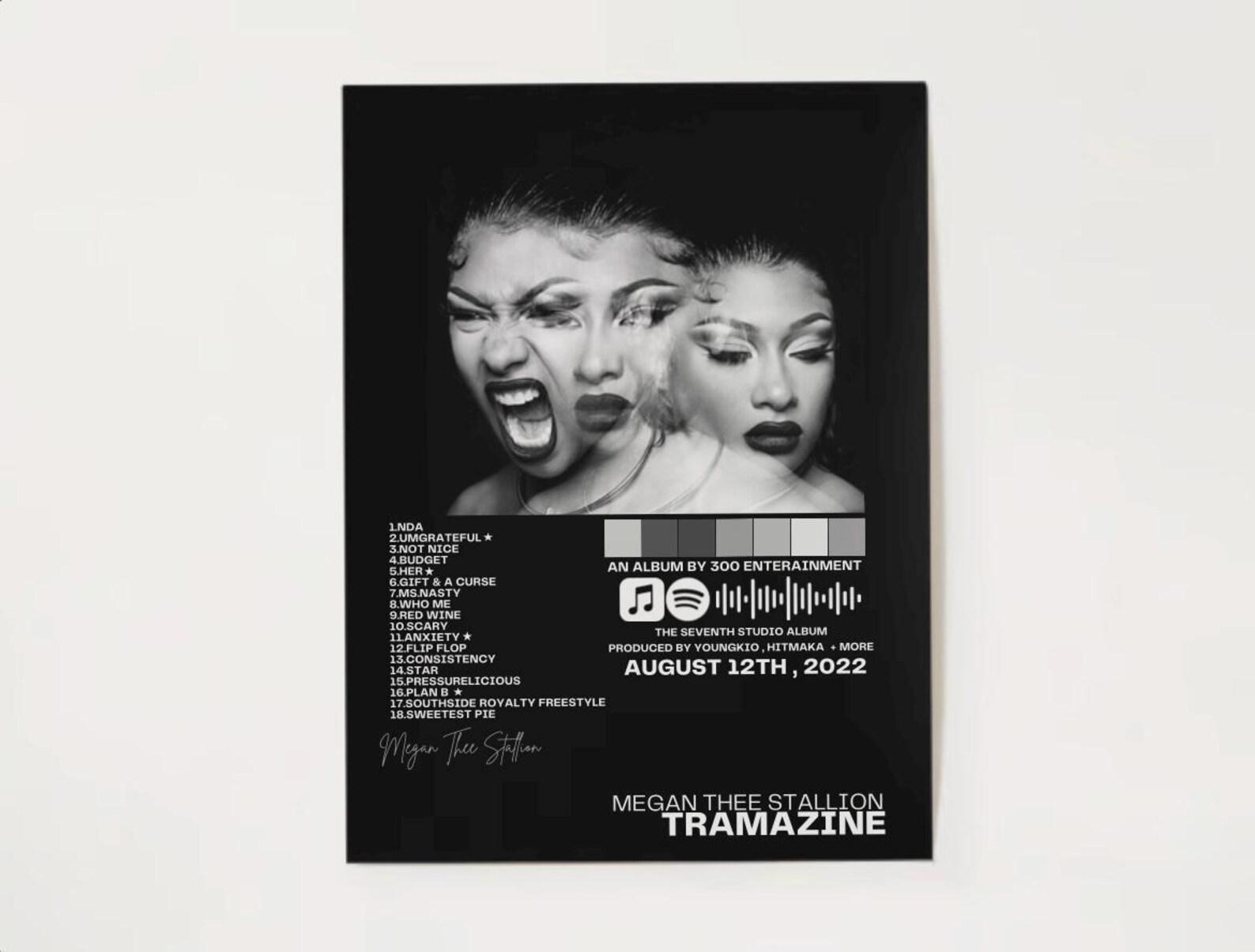 Megan Thee Stallion Album Cover Posters 3 - Etsy