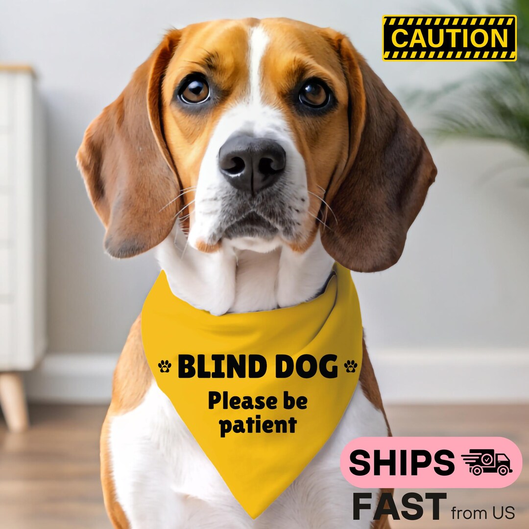 Yellow Caution Dog Bandana for Deaf, Blind, Low Vision Dogs | High ...