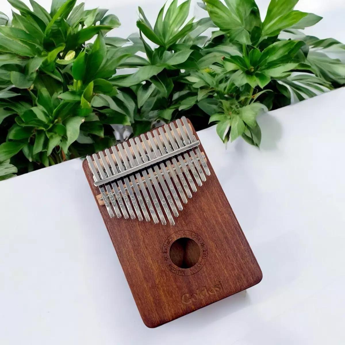 Goldesi 17 Key Kalimba Thumb Piano – Complete Music Set - Etsy