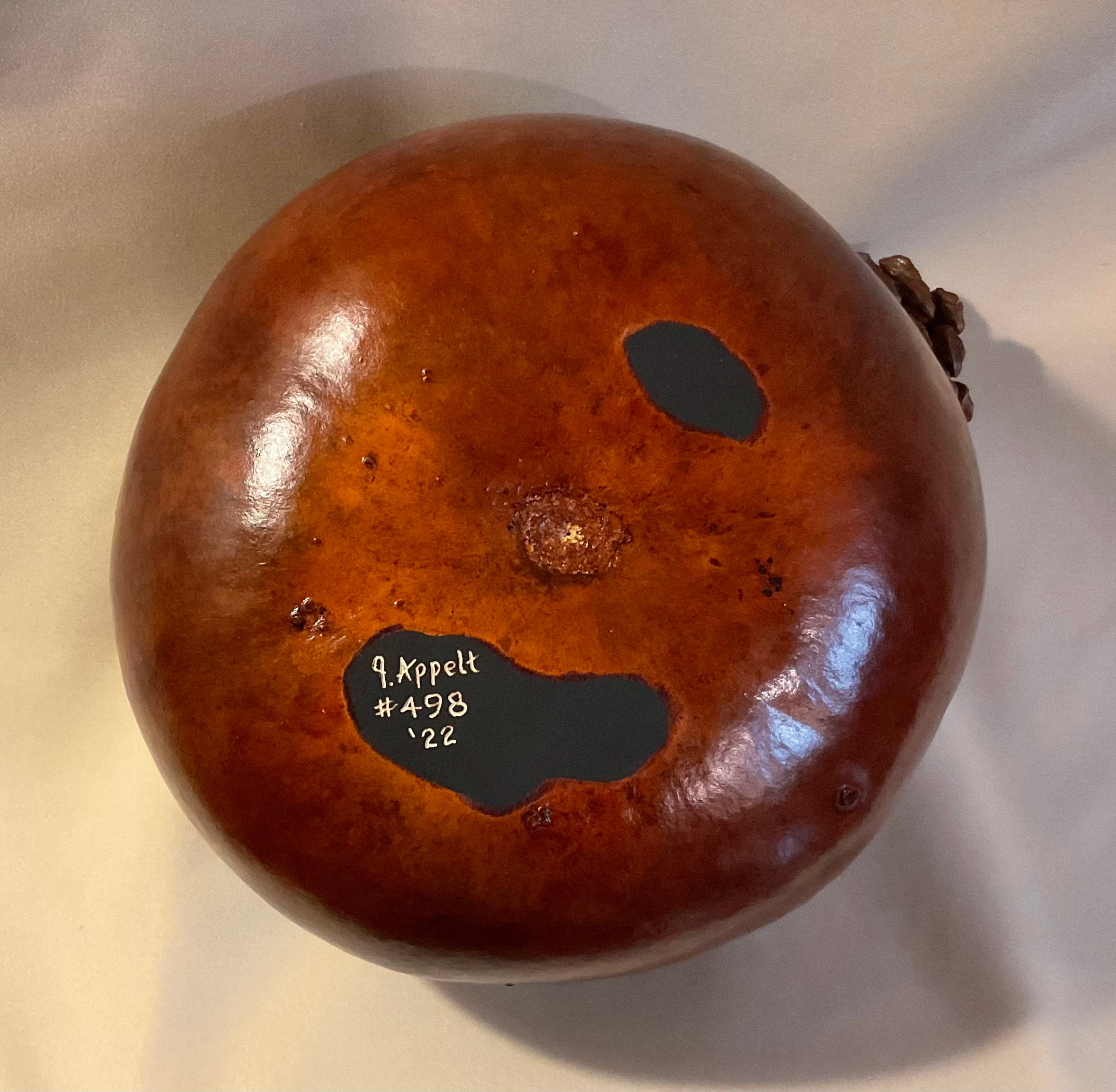 Hard Shell Gourd Bowl With Pine Needle Rim, Pinecone Embellishment and ...