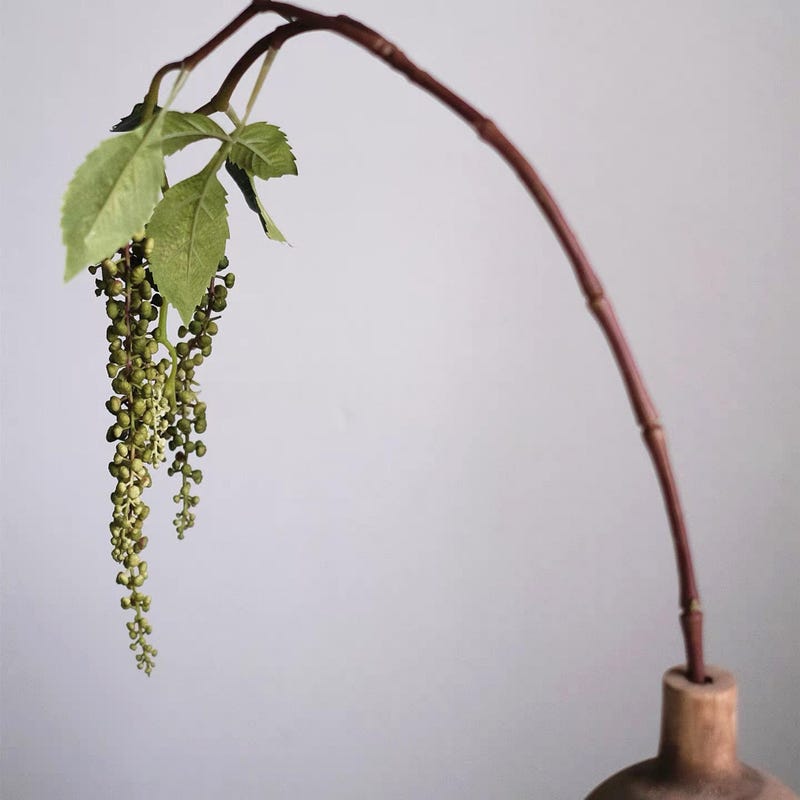 Pokeberry - Etsy