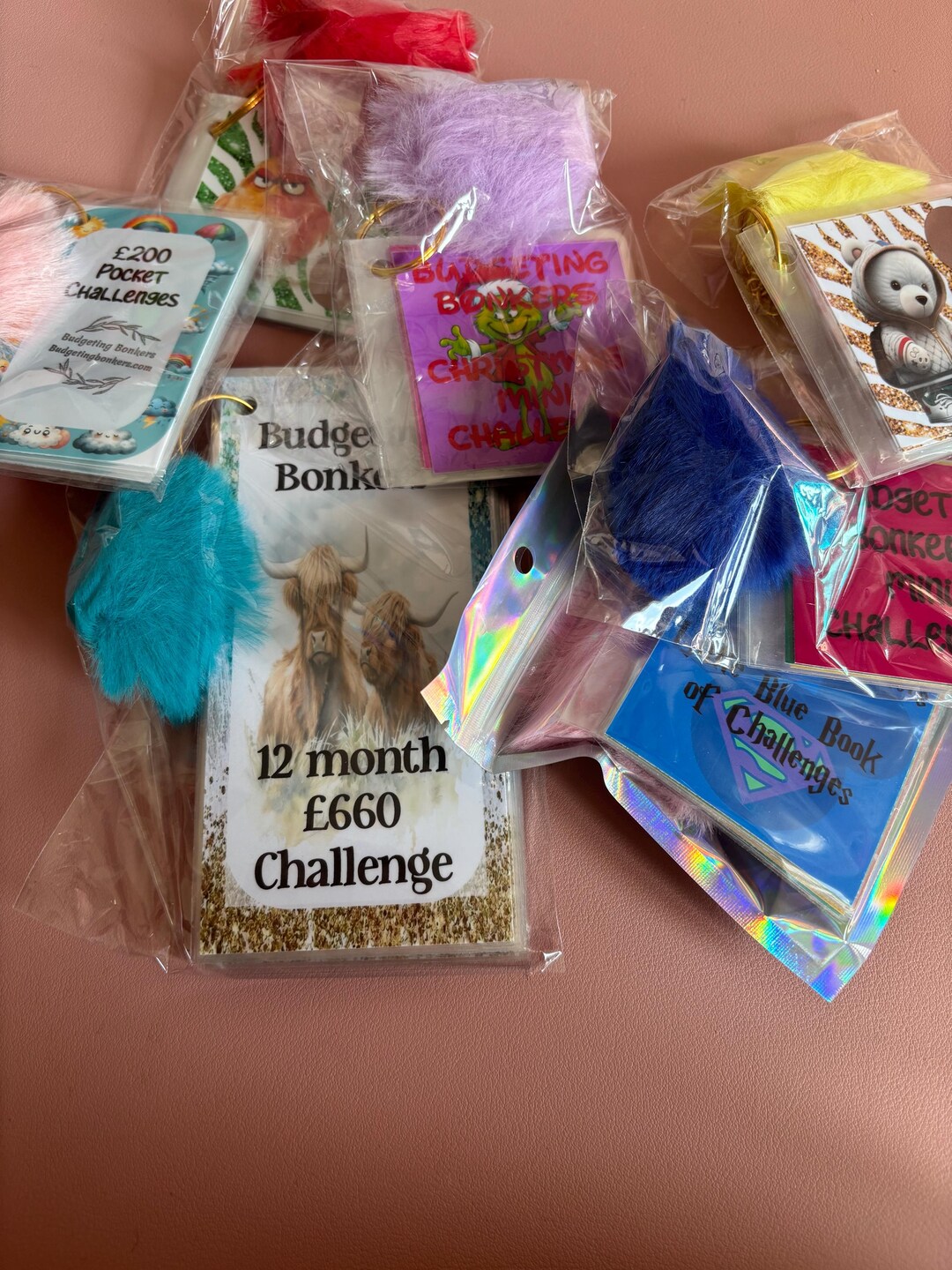 Mystery Mini Challenge Dip: Laminated Reusable Budgeting Game - Etsy