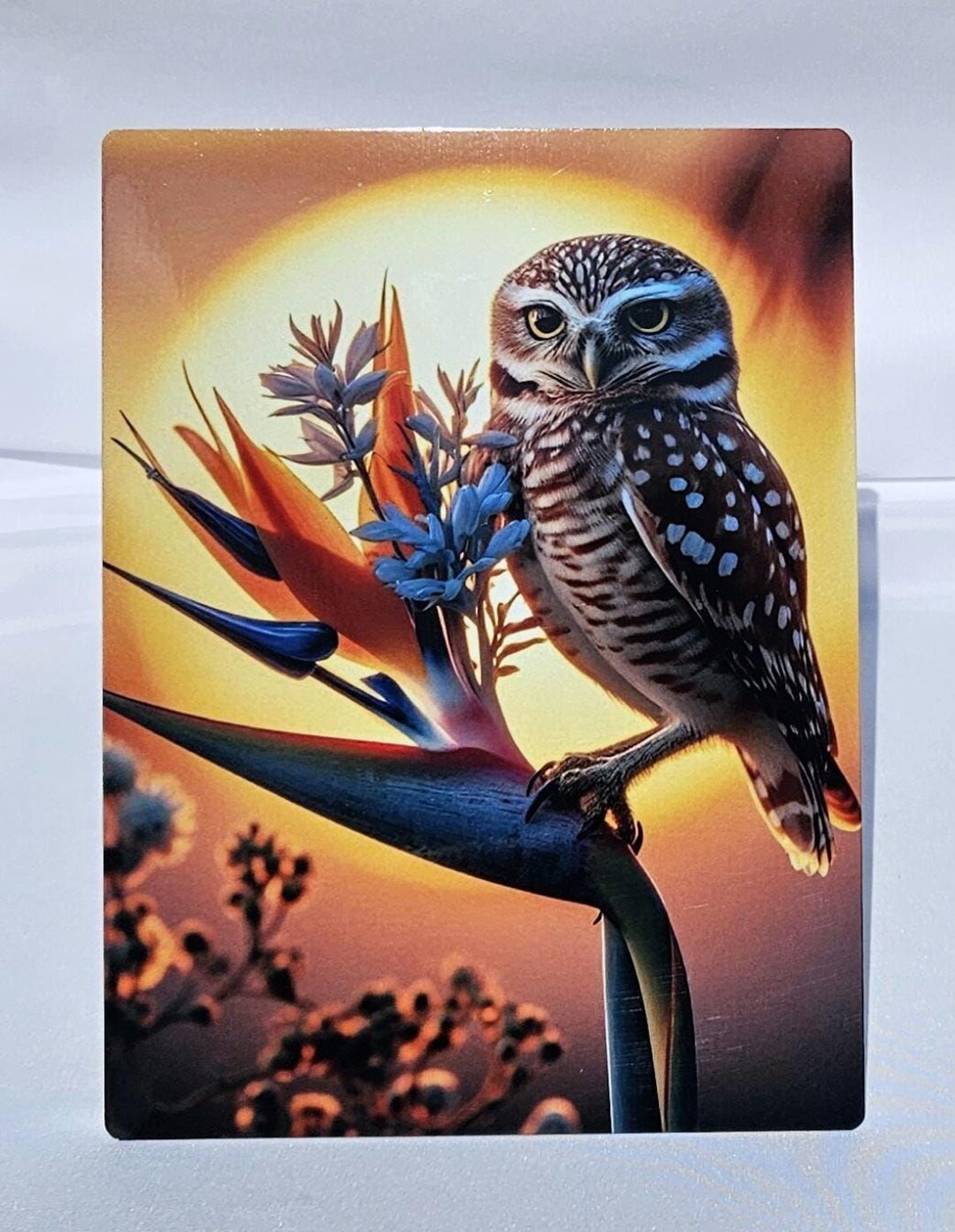 Aluminum Picture Panel - Custom - Personalized Photos - Custom Size ...