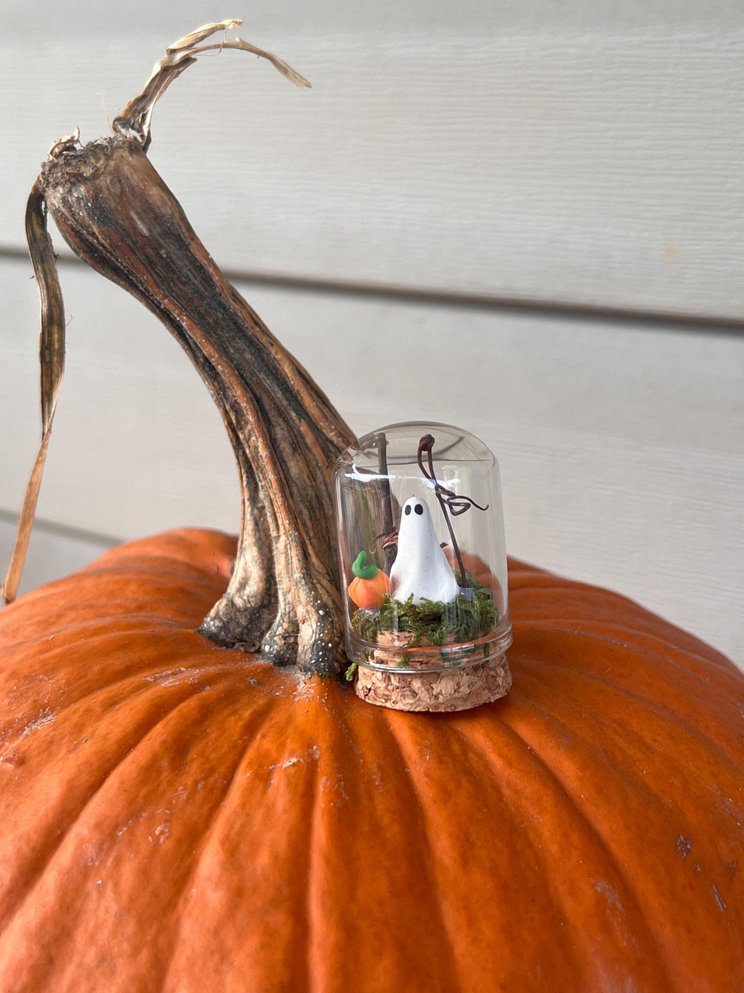 Mini Spooky Ghost in Glass Dome | Clay Ghost | Pumpkins | Halloween ...