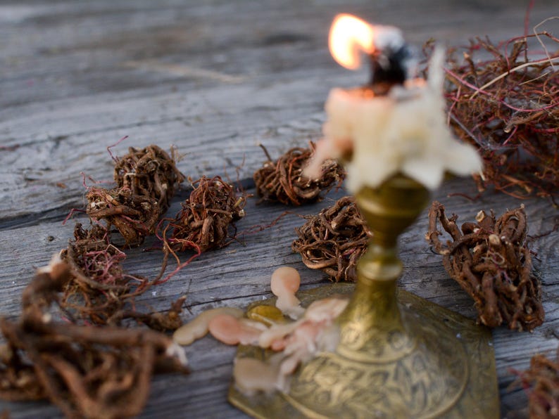 St Johns Wort Root Witchcraft Conjure - Etsy