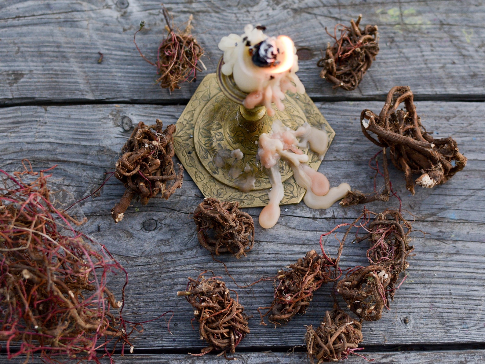 St Johns Wort Root Witchcraft Conjure - Etsy