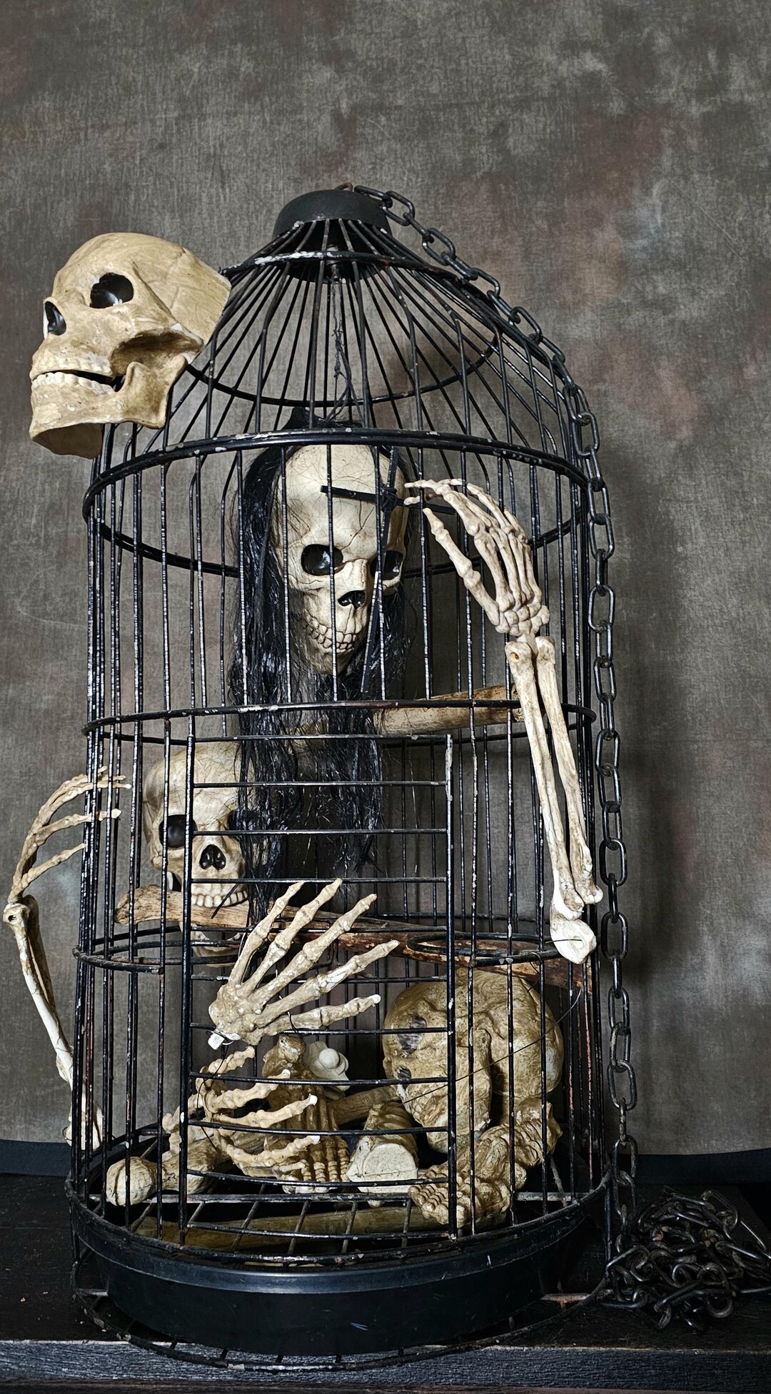 Antique Vintage Gothic Curio Macabre Bird Cage, Horror, Chain Hanging ...