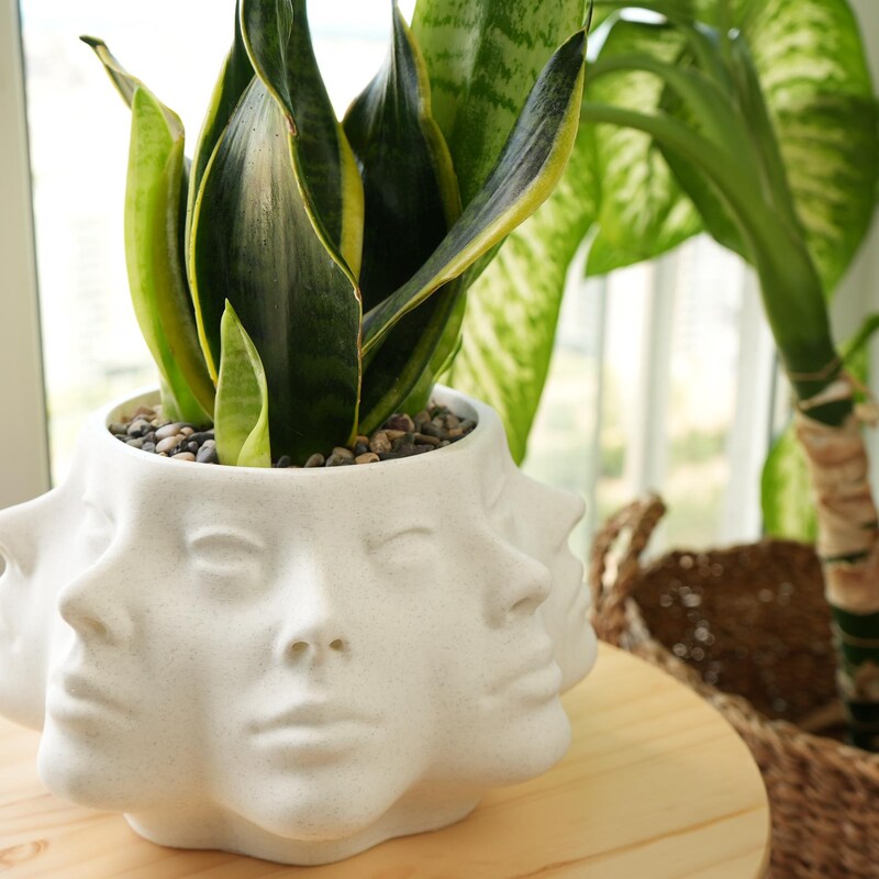 Multi Face Planter - Etsy