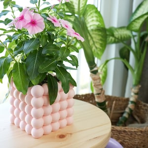 Modern Bubble Pot Vase No Drain/ Pot for Plants and Flowers / Chic ...