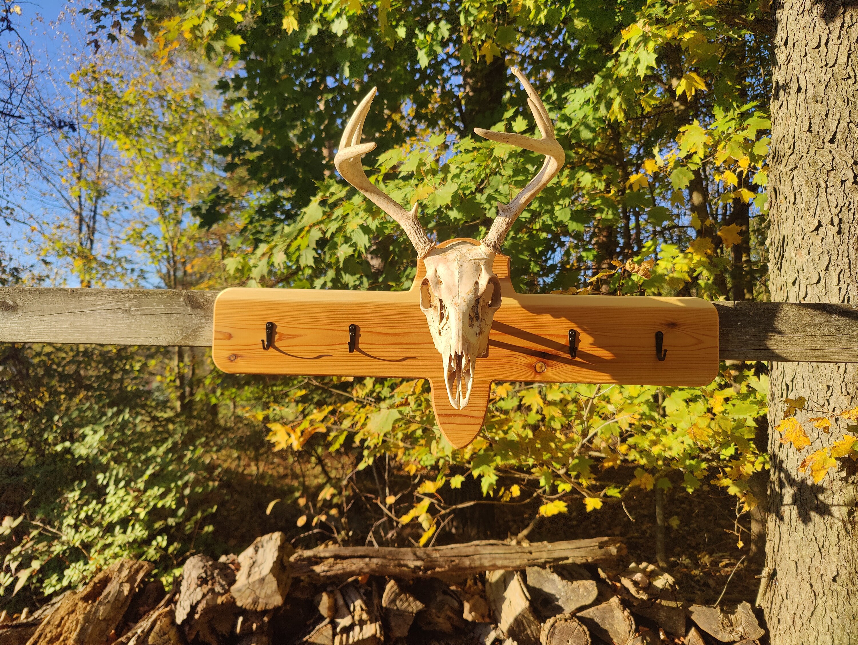 Solid Aromatic Cedar Trophy Mount Cedar European Mount Picture Pedestal ...