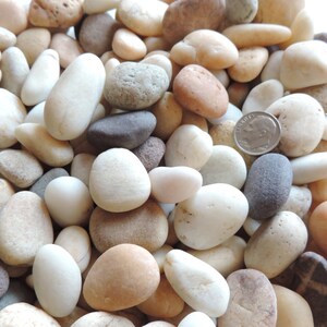 BULK of Mixed Sized Colorful BEACH STONES Good Quality, Polished, Nice ...
