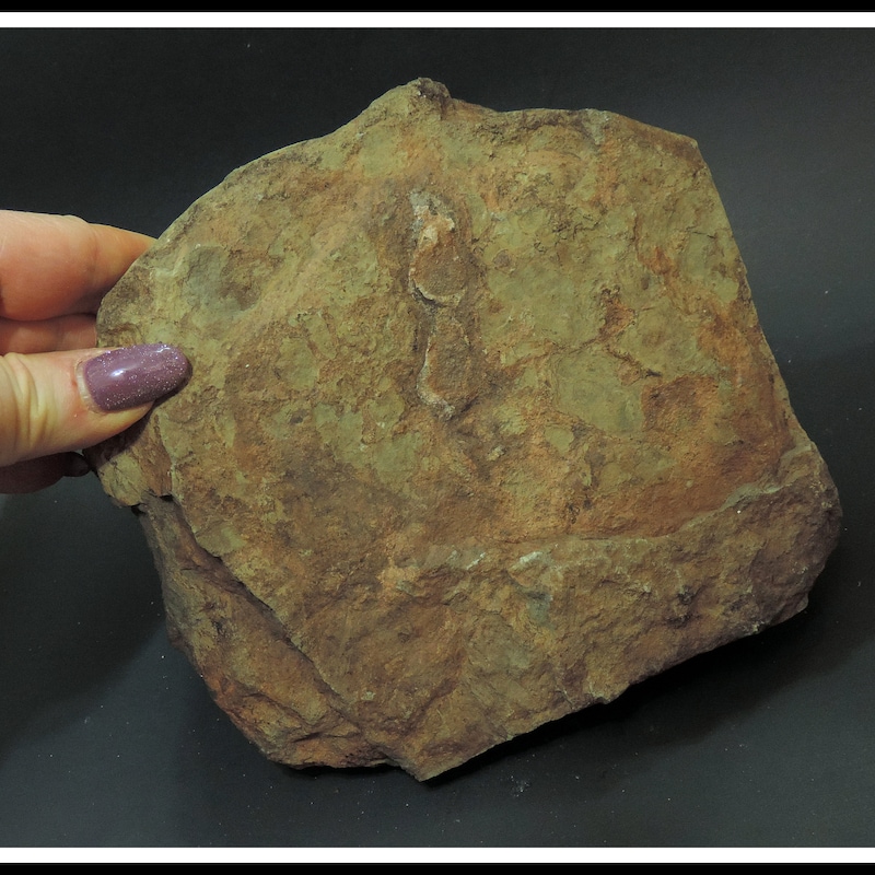 Flat River Stones - Etsy