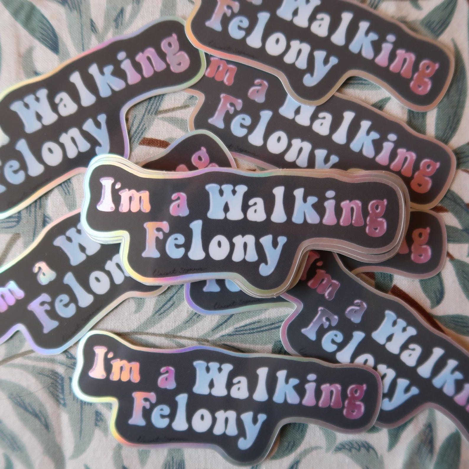 Silly Goofy Trans Pride i'm a Walking Felony Holographic Quote Sticker ...