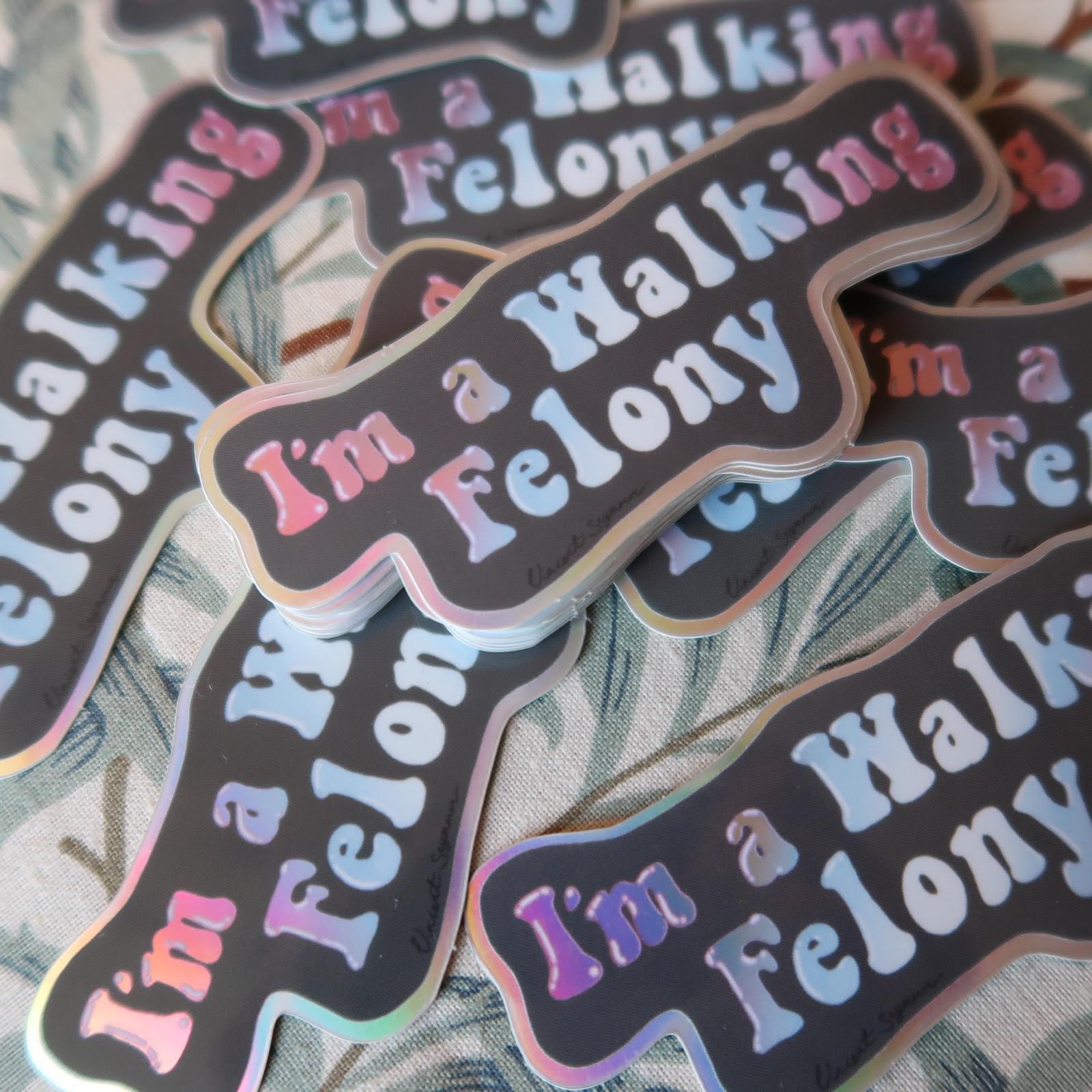 Silly Goofy Trans Pride i'm a Walking Felony Holographic Quote Sticker ...