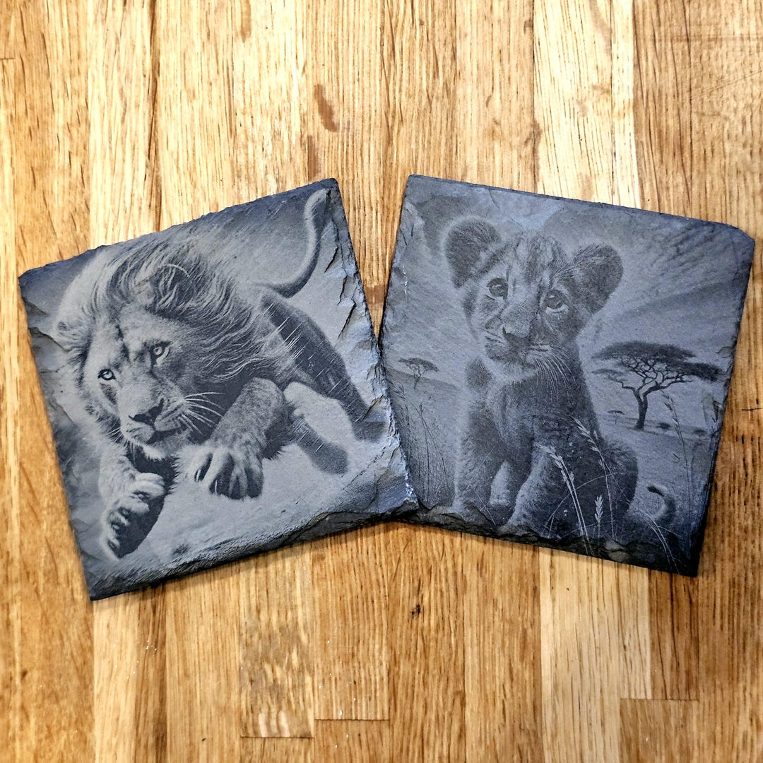 Lion Art 4 Coaster Set - Etsy