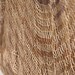 Papua New Guinea Bilum Shoulder Bag - Handwoven Tribal Craft - Etsy