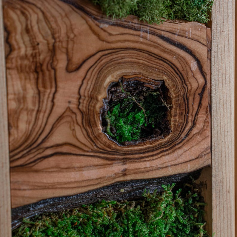 Preserved Moss and Olive Wood Wall Art, Wooden Frame Decor - Etsy