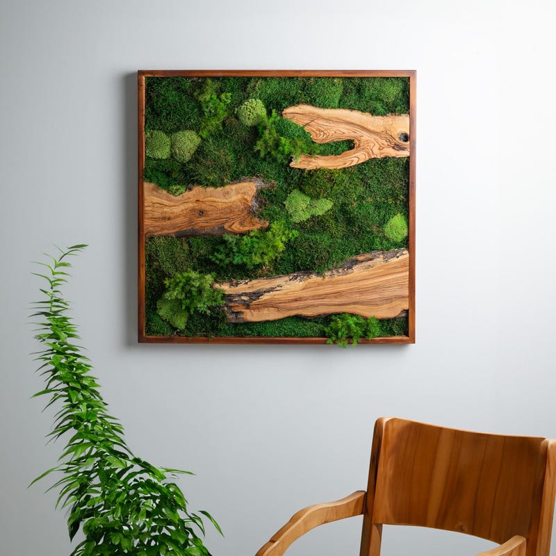 Moss Wall Decor - Etsy