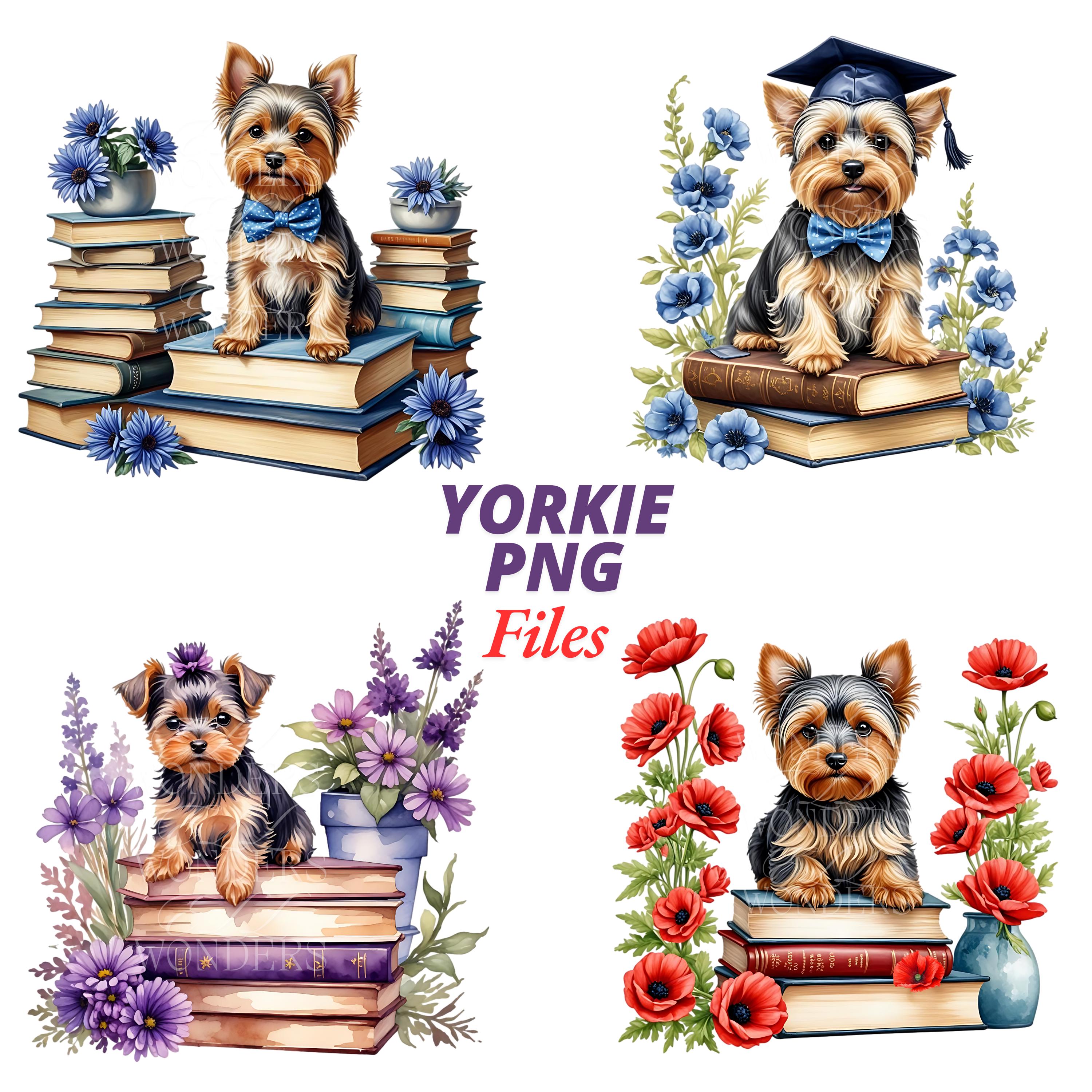 Yorkie Clip Art, Yorkie PNG, Yorkie Puppy Clipart Bundle, Graduation ...