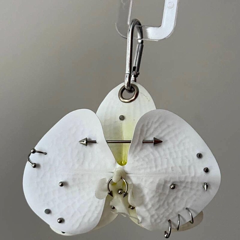 OrchidWorldwide - Etsy