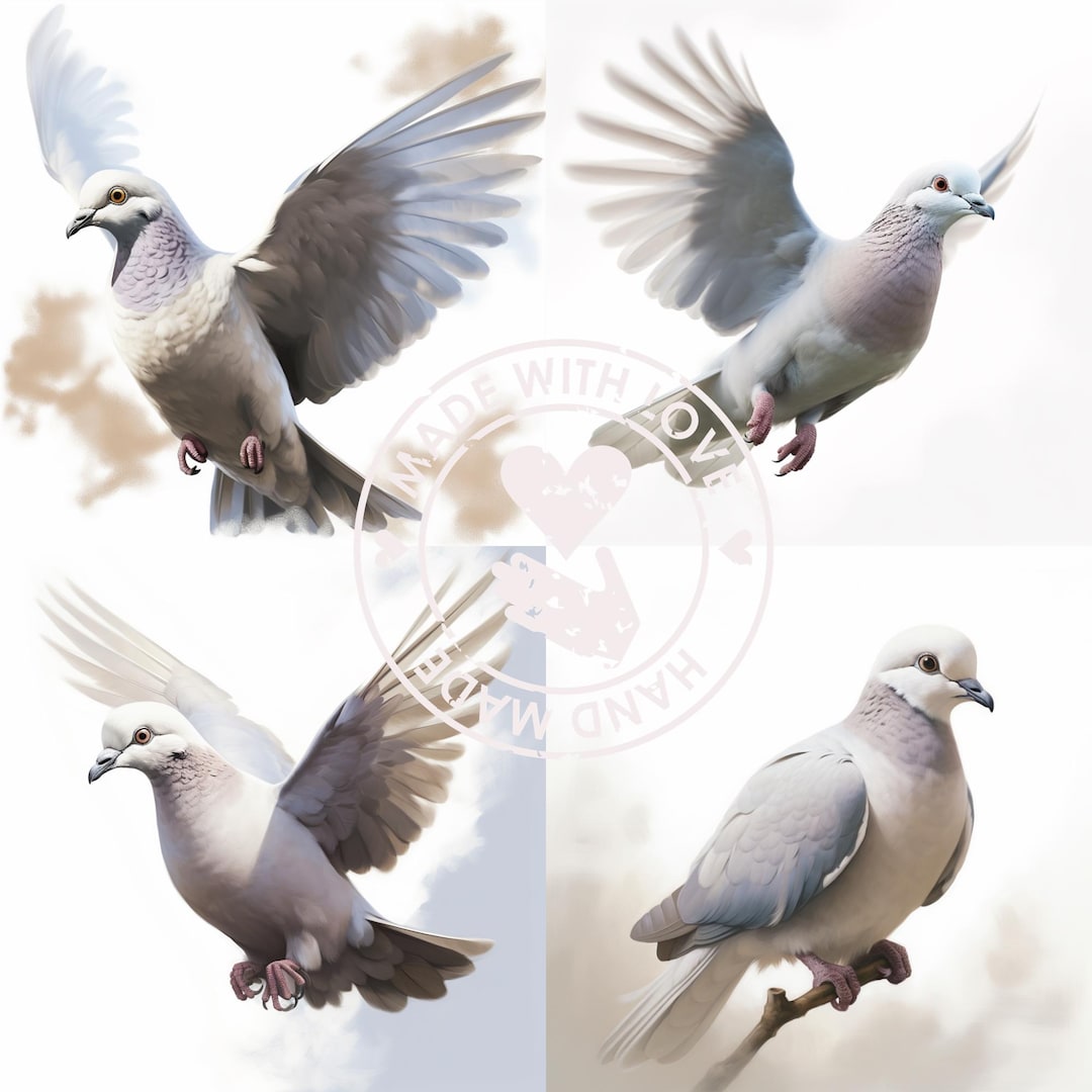 Vintage Dove Illustration Instant Download - Etsy