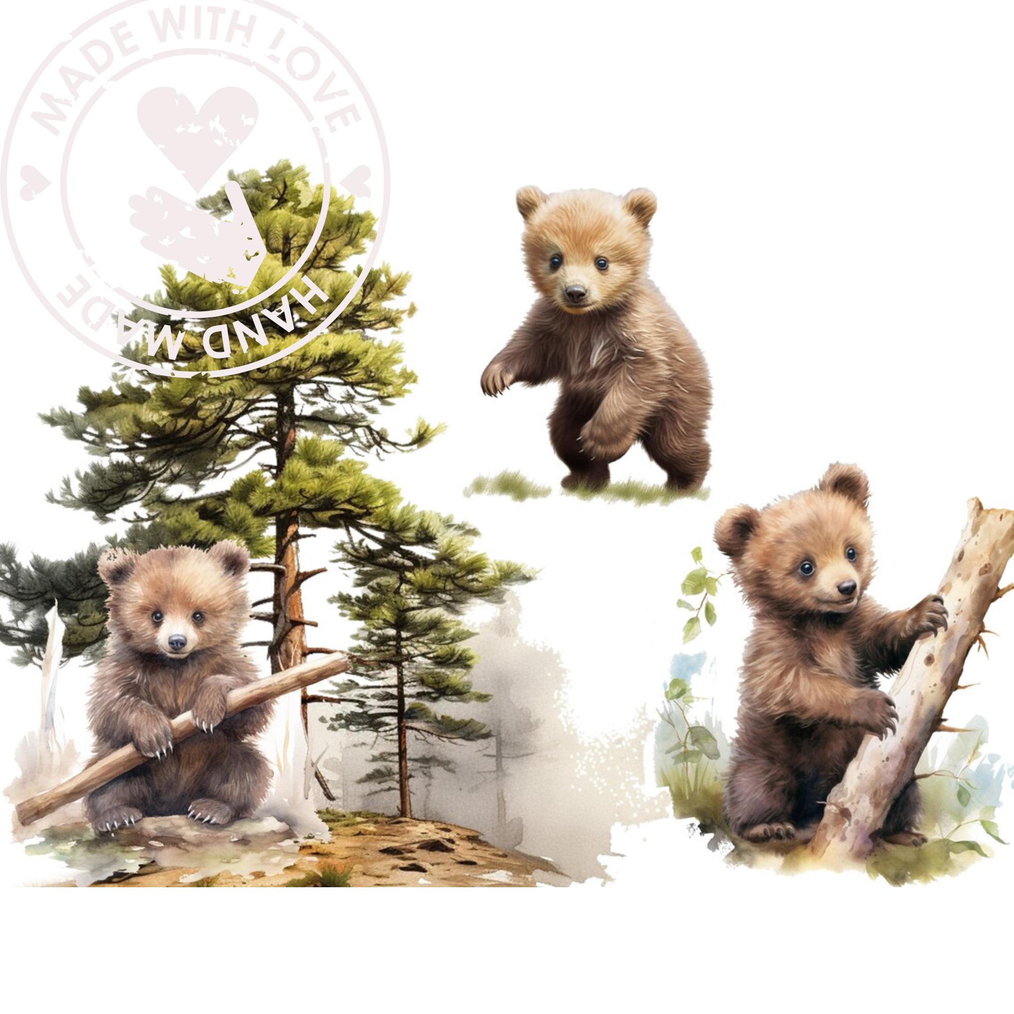 Sweet Baby Bear PNG Clipart - Cute Forest Animals for Commercial Use - Etsy