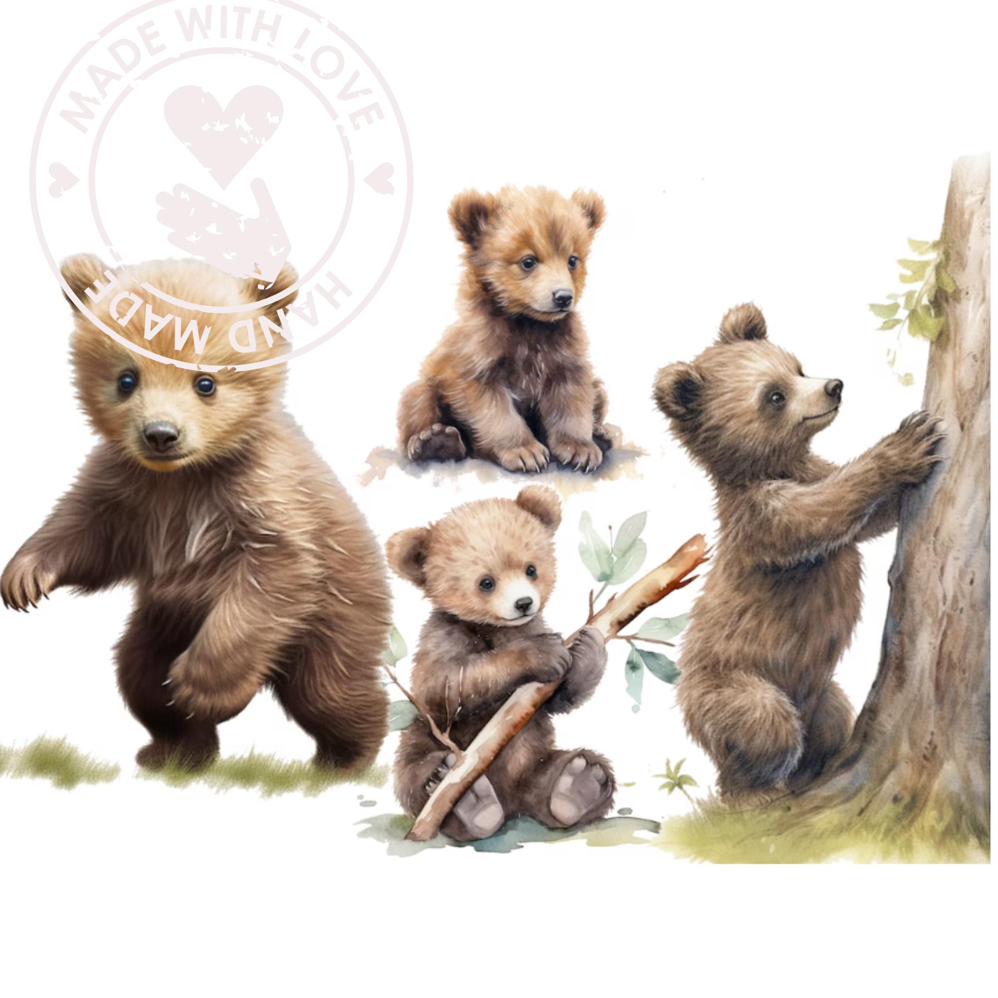 Sweet Baby Bear PNG Clipart - Cute Forest Animals for Commercial Use - Etsy