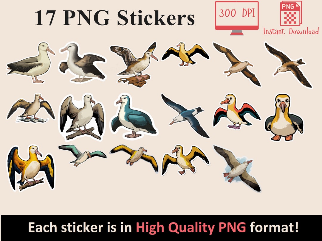Albatross PNG Stickers Design Bundle, 17 Designs, Printable Bird ...