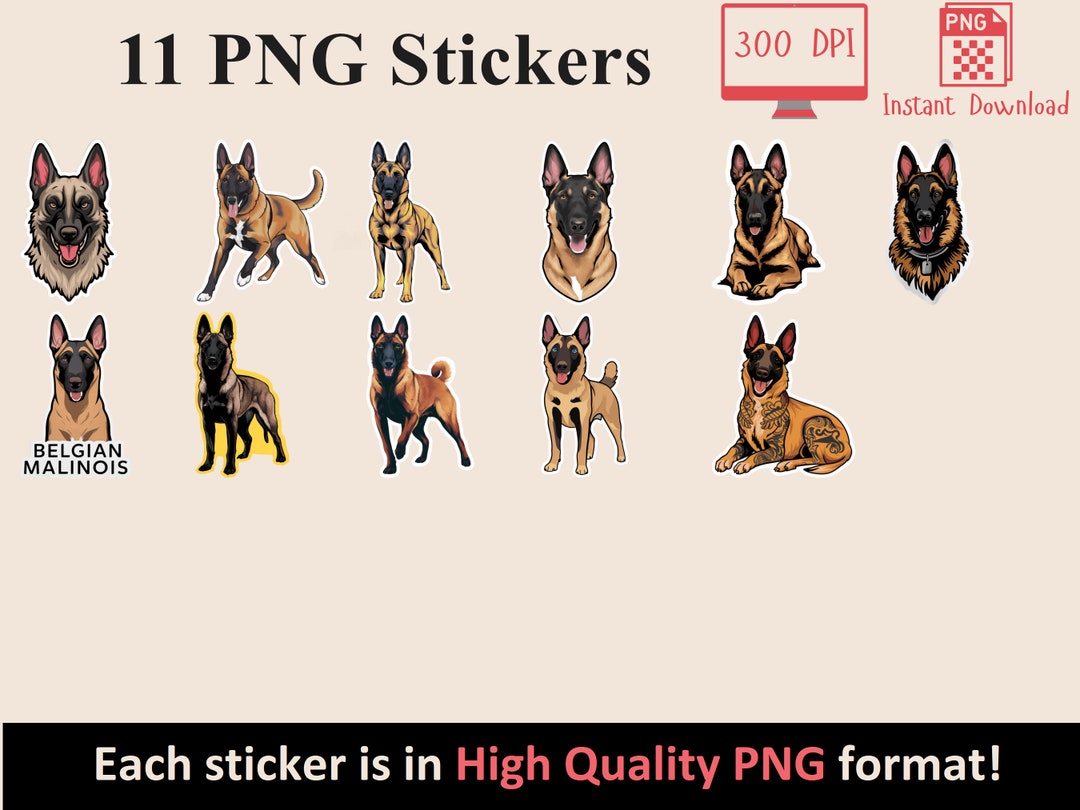 Belgian Malinois Dog PNG Stickers Design Bundle Elegant and Energetic ...