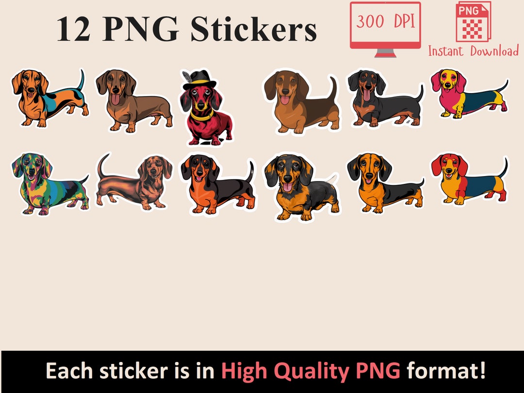 Dachshund Dog PNG Stickers Design Bundle Long and Lovely, Dachshund Fun ...