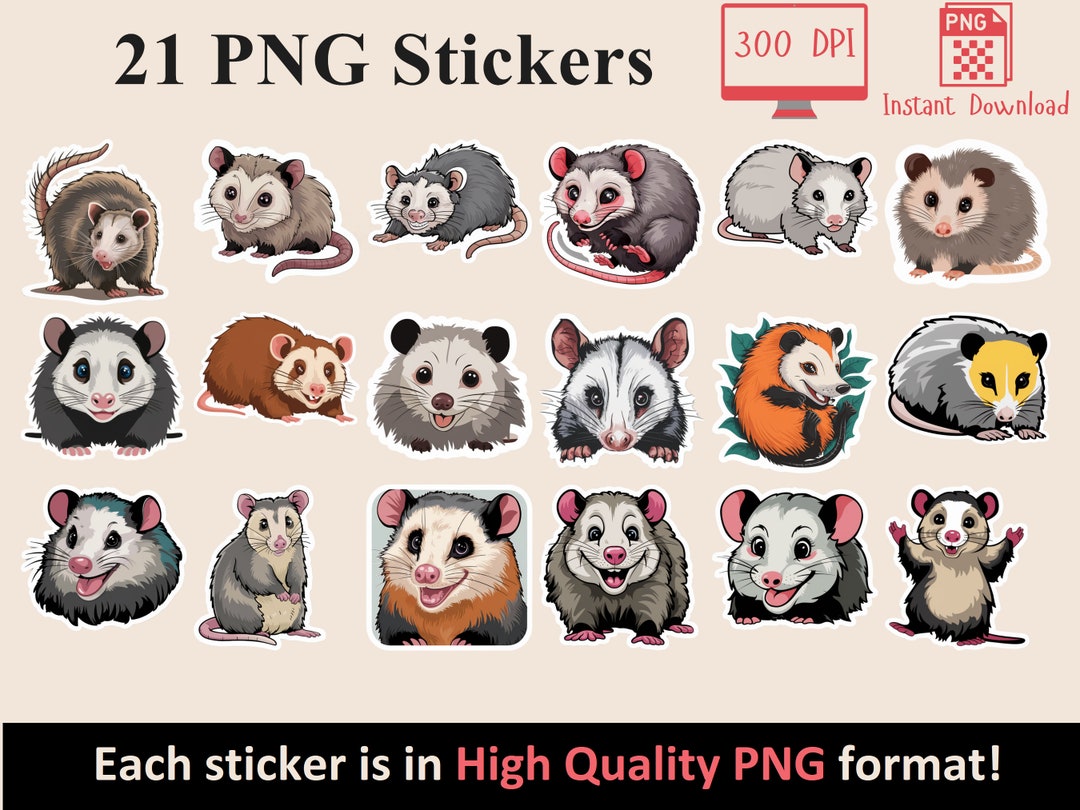 Cute Opossum PNG Stickers Design, 21 Adorable Marsupial Clipart ...