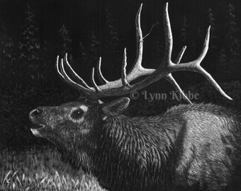 Scratchboard Art - Etsy