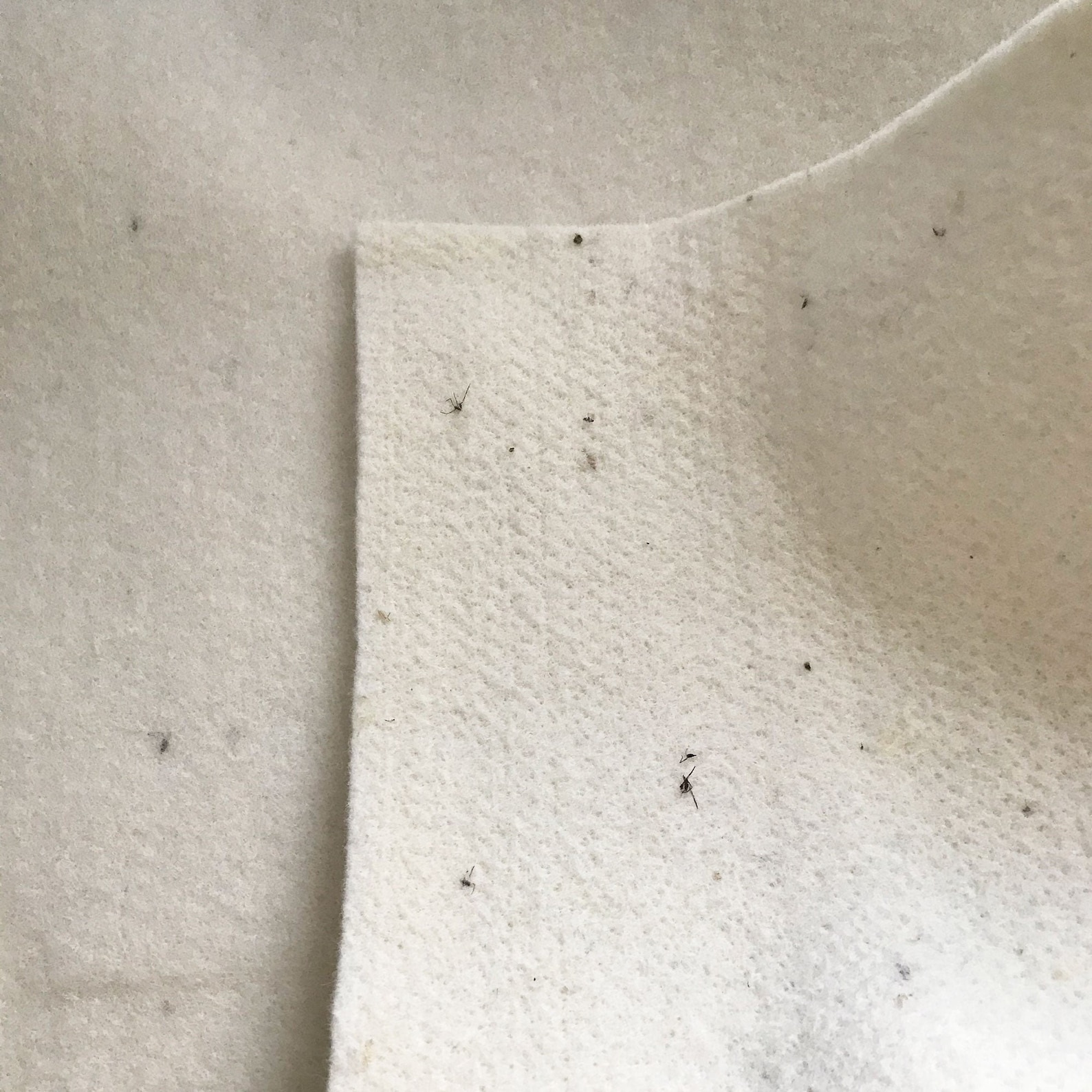 Organic Wool Puddle Pad - Mattress Protection - Custom-made Size and ...