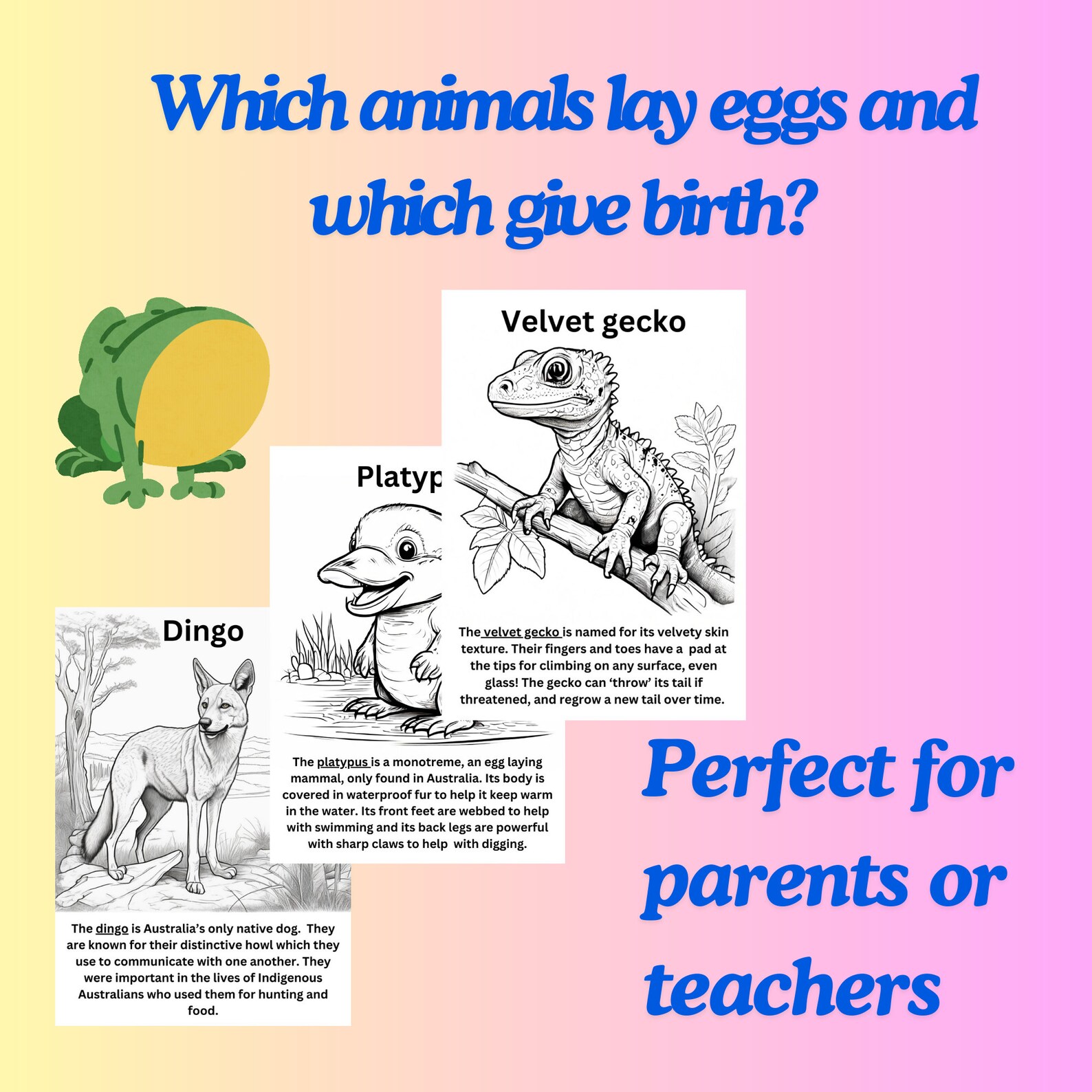 Printable A to Z Australian Animals Coloring Book | Educational Fun ...