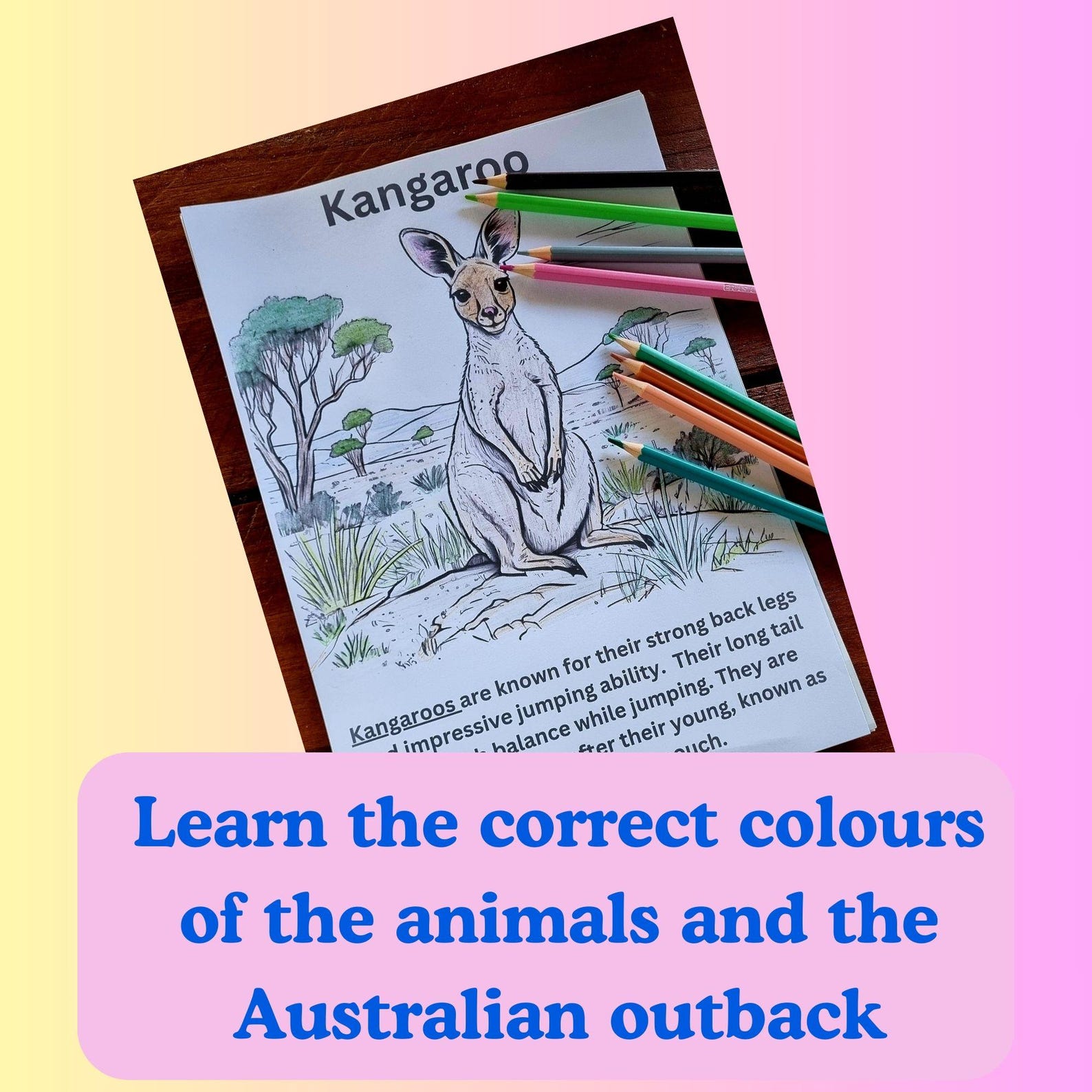Printable A to Z Australian Animals Coloring Book | Educational Fun ...