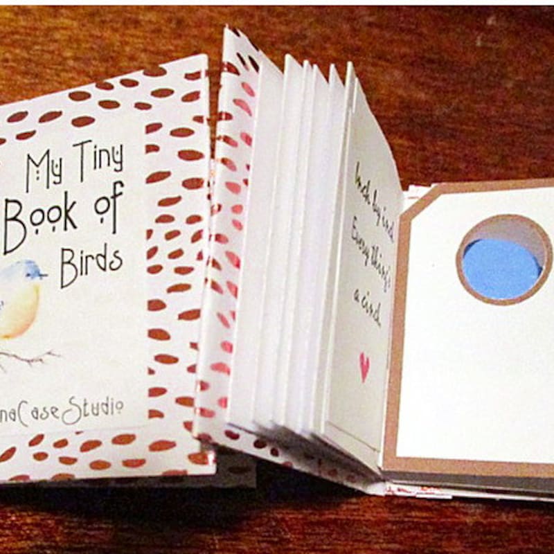 PetrinaCaseStudio - Etsy