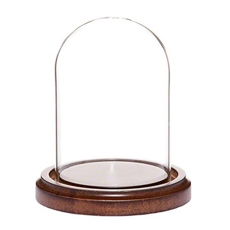 Glass Cloche Dome and Wood Base NEW 6-1/2H X 5-3/4w - Etsy