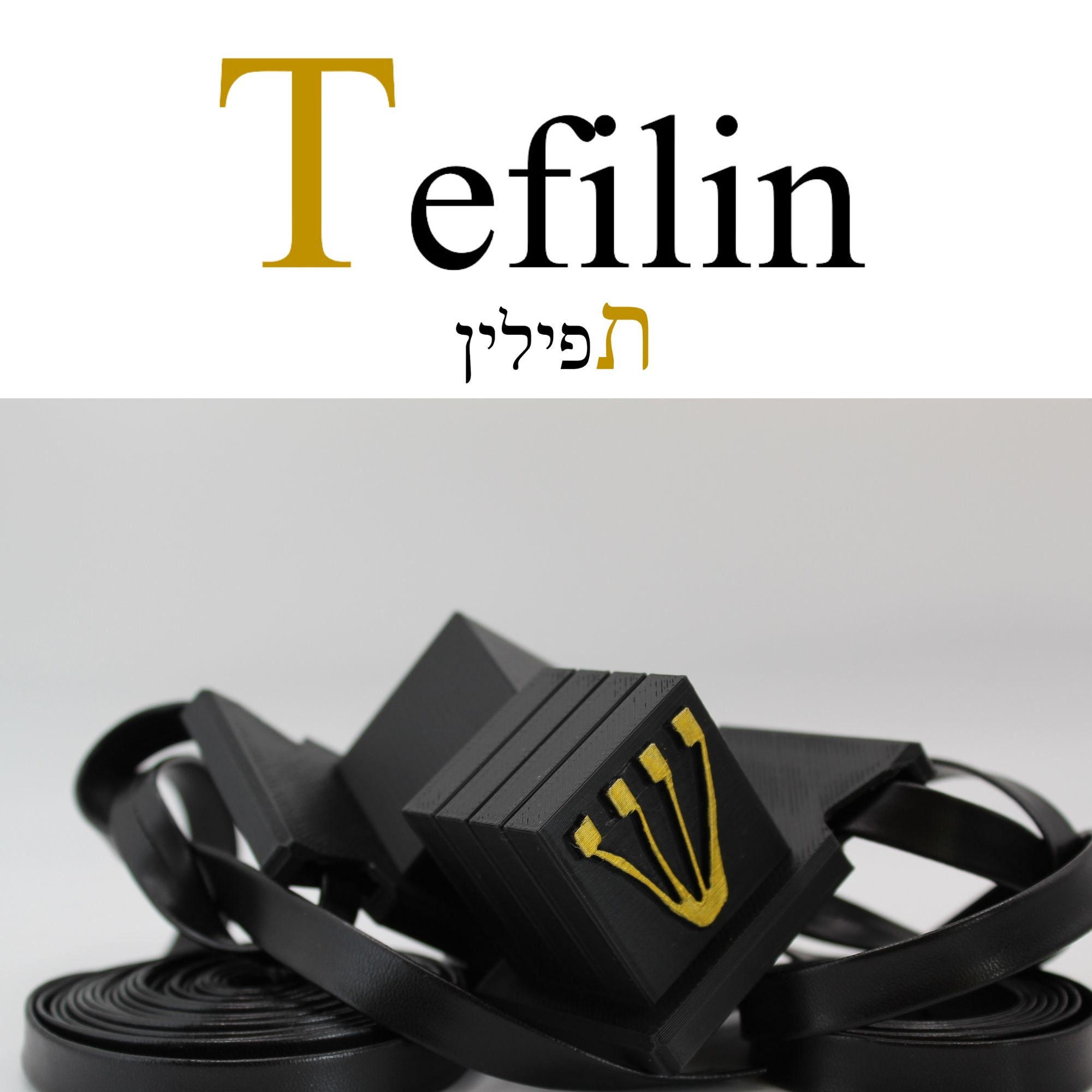 TEFILLIN Jewish Prayer Phylacteries. Includes Hebrew Amulet Scrolls ...