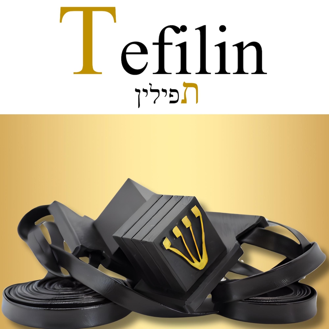 Tefillin: Jewish Prayer Phylacteries With Hebrew Amulet Scrolls ...