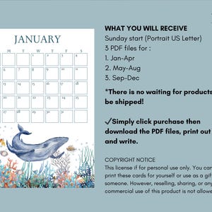 2025 Printable Sea Life Under the Sea Dated Calendar Ocean Animals Wall ...