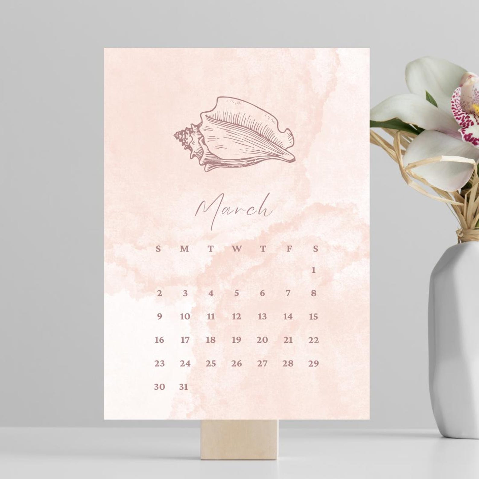 Printable Seashells 2025 Calendar, Coastal Themed Dated Desk Calendar ...