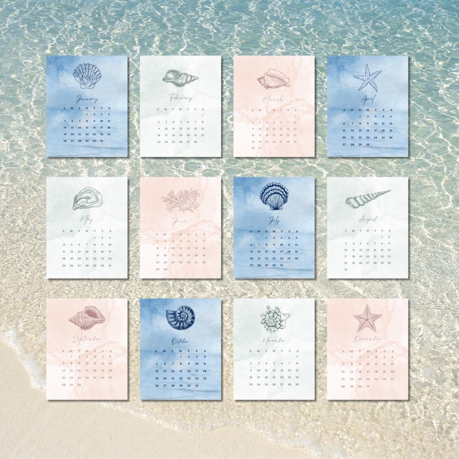 Printable Seashells 2025 Calendar, Coastal Themed Dated Desk Calendar ...