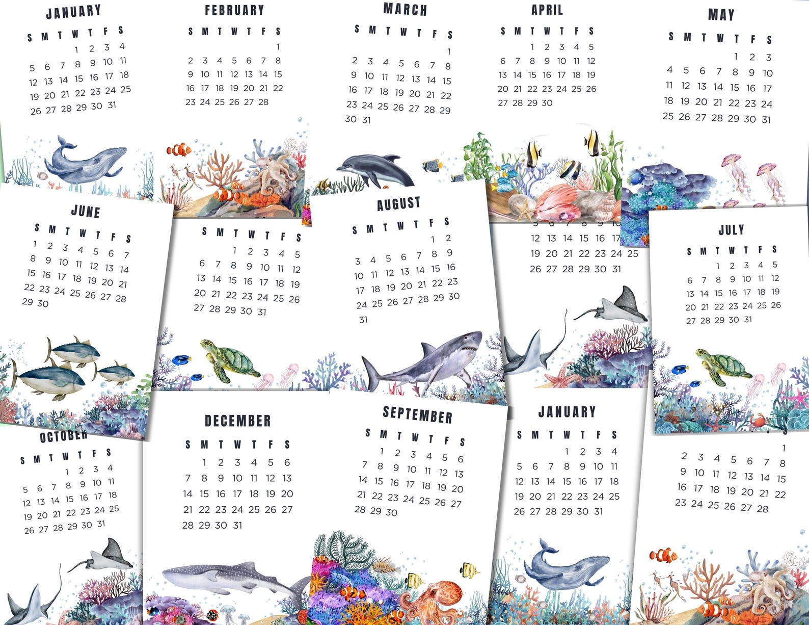 2025 Printable Sea Life Under the Sea Calendar Ocean Animals Dated 5x7 ...